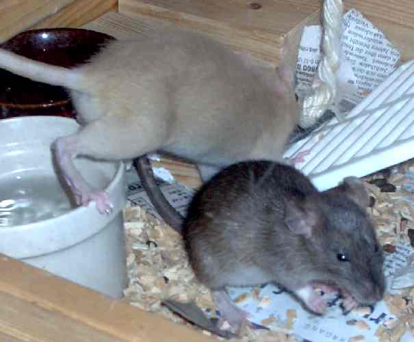 Homepage von Marc Gerhard